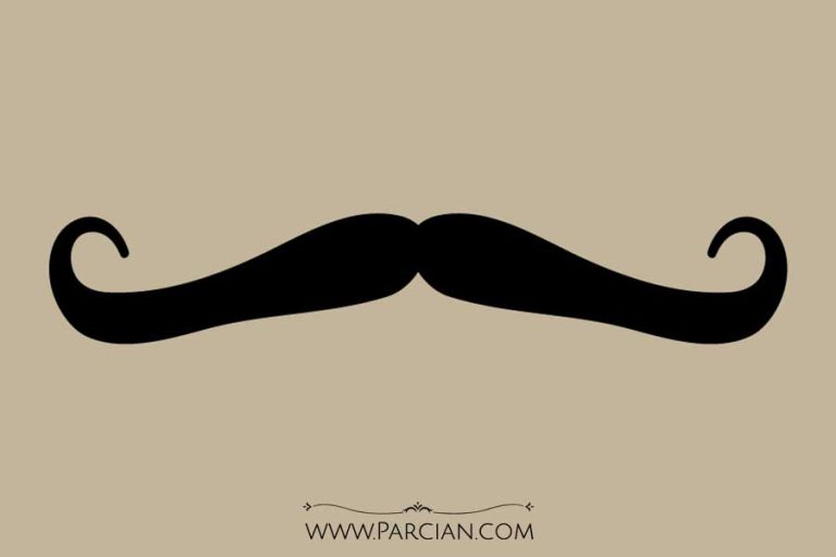 وکتور سیبیل کارتونی | وکتور سبیل مردانه | پارشن