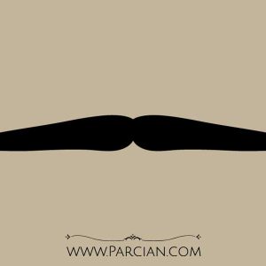 وکتور سبیل رایگان | پارشن